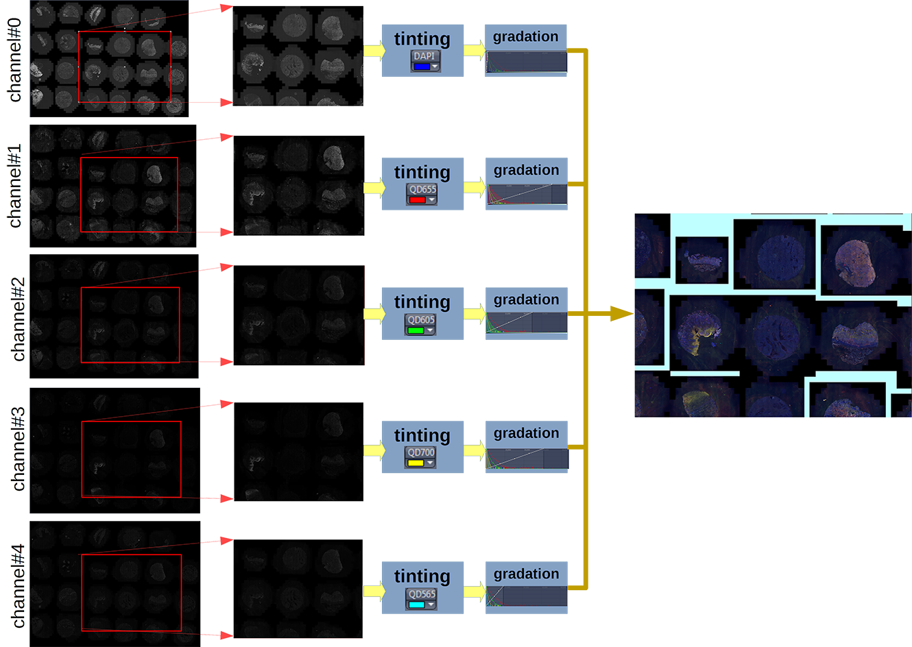 libCZI: using libCZI