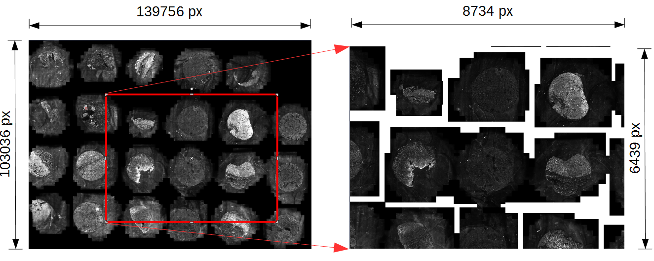 libCZI: using libCZI